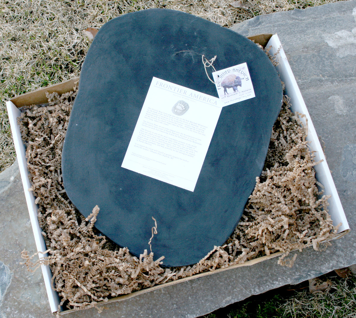 Grizzly Bear Paw Track